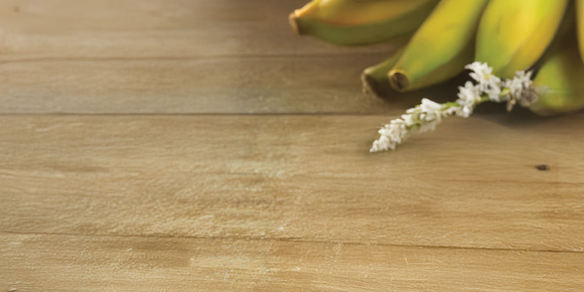 Meson Sandwiches – Famous Sandwiches, Anytime Breakfasts & Serious Coffee