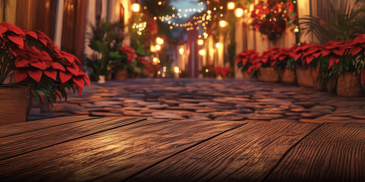 Meson Sandwiches – Famous Sandwiches, Anytime Breakfasts & Serious Coffee